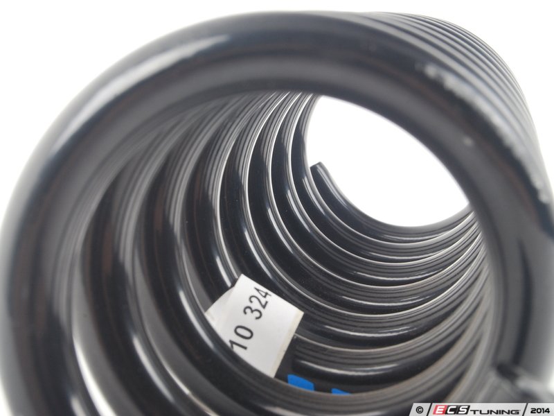 Genuine Mercedes Benz - 2103243404 - Rear Coil Spring - Priced Each