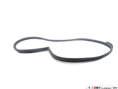 Genuine BMW - 51767899017 - Door seal - left (51-76-7-899-017)