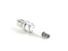 Genuine Volkswagen Audi - 101905626 - Spark plug - priced each (101 905 ...
