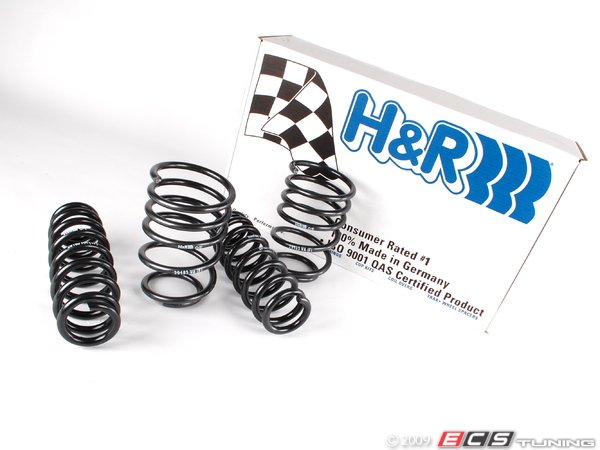 H&R - 50490-88 - Race Springs Set