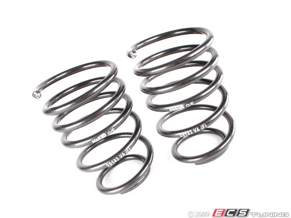 H&R - 50490-88 - Race Springs Set