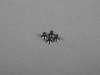 Genuine BMW - 54107134073 - Sunroof Headliner Repair Kit (54-10-7-134-073)
