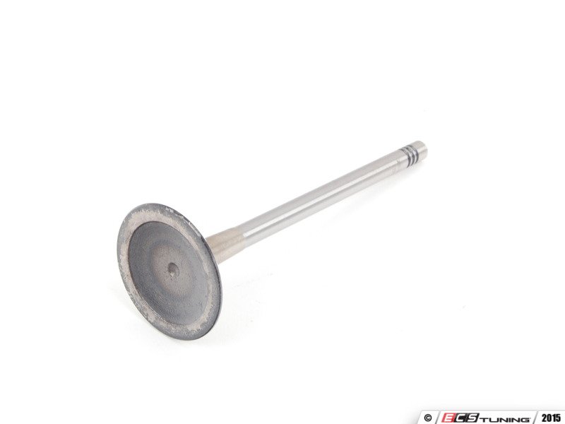 Rein - 06E109601E - Intake Valve - Priced Each - (NO LONGER AVAILABLE)