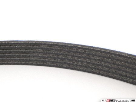 GatesRacing - 11287628650 - Racing Accessory Belt - (NO LONGER AVAILABLE)