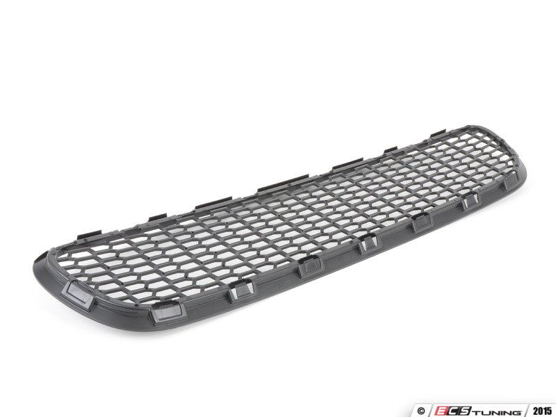 Genuine BMW - 51118047391 - F10 M5 Bumper Grille - Center (51-11-8-047-391)