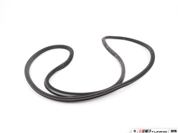 Genuine BMW - 51728175083 - Rear door seal - left (51-72-8-175-083)