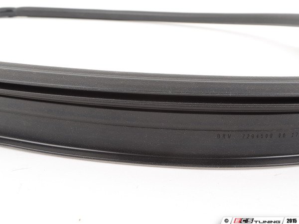 Genuine BMW - 51767294509 - Hood Sealing - Front Engine (51-76-7-294-509)