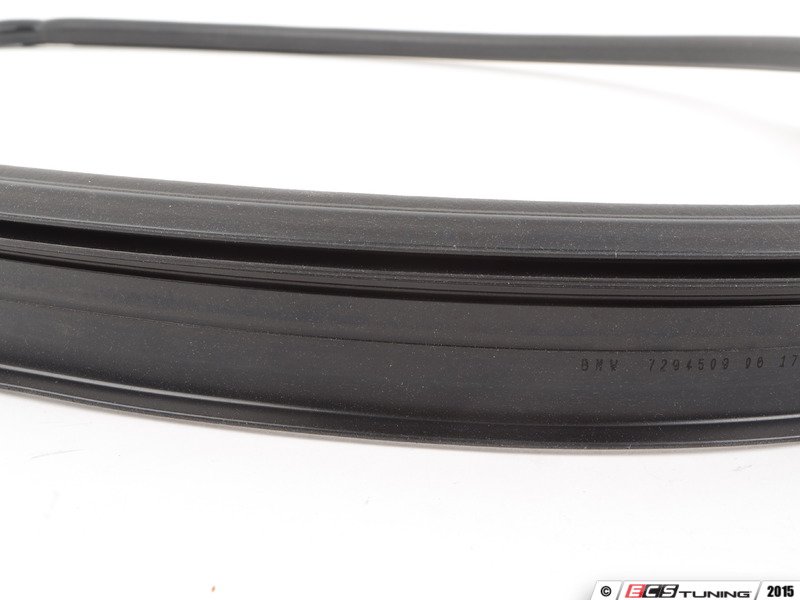 Genuine BMW - 51767294509 - Hood Sealing - Front Engine (51-76-7-294-509)