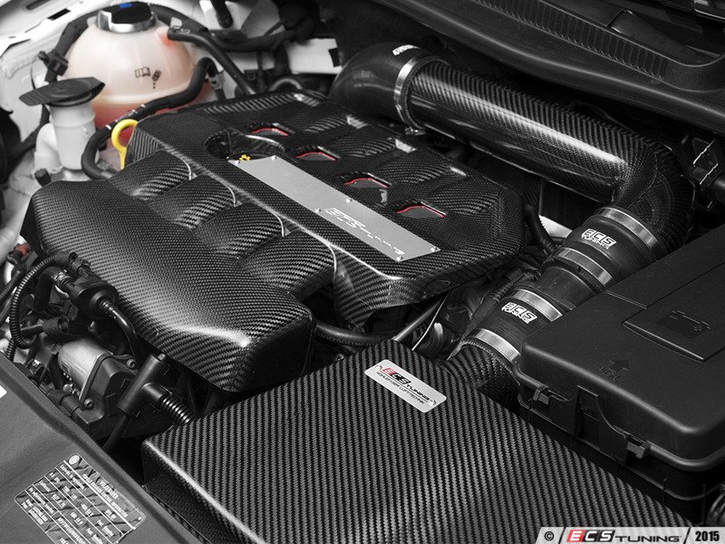 ECS - 005243ECS01 - Carbon Fiber Engine Cover