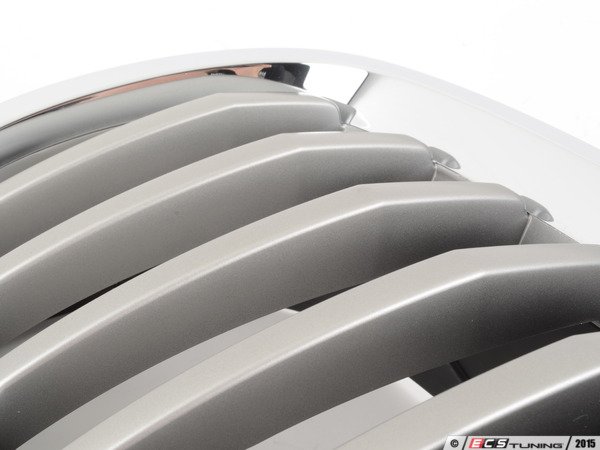 Genuine BMW - 51137307599 - Front Grille - left (51-13-7-307-599)