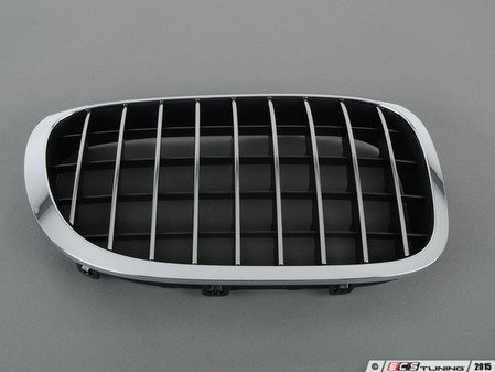 Genuine BMW - 51137203198 - Grille - Front - Right (51-13-7-203-198)