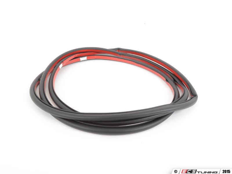 Genuine BMW - 51767220381 - E70 X5 Door Weatherstrip - Front (51-76-7 ...