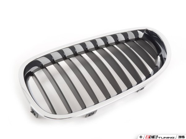 Genuine BMW - 51137027061 - Grille (Black) (51-13-7-027-061)