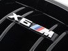 Genuine BMW M Performance - 51712354499 - M Performance Gloss Black Grille
