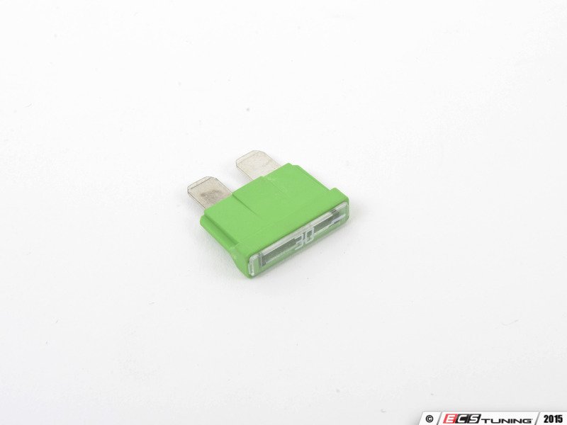 Pudenz - 0015455034 - Fuse - Priced Each