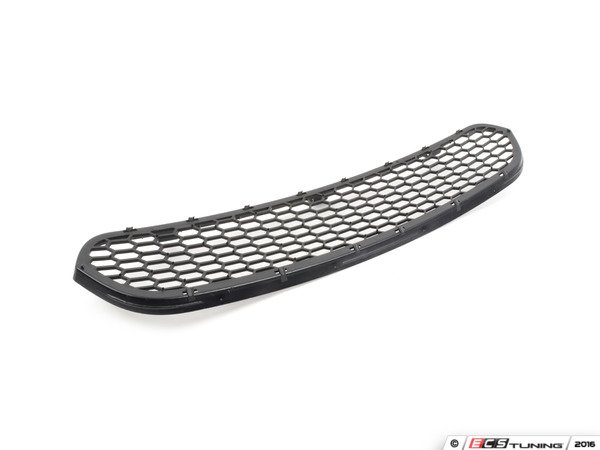 Genuine BMW - 51117205560 - GRILL, CENTER LOWER (51-11-7-205-560)