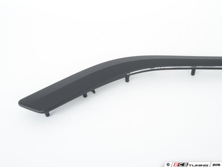 Genuine BMW - 51417389529 - Door Accent Molding (51-41-7-389-529)