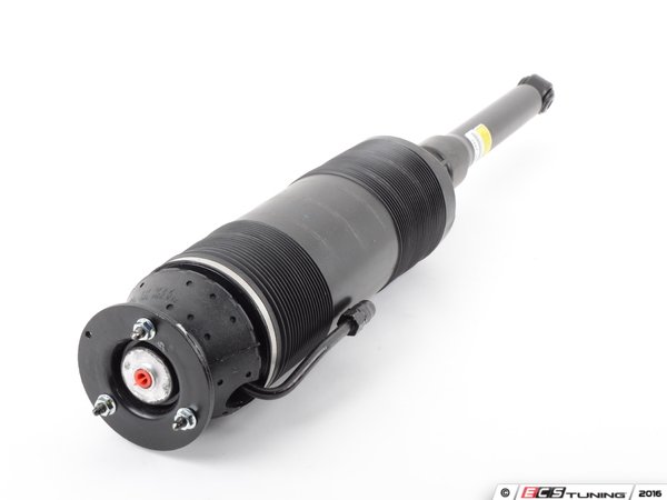 Arnott - 2203209113KT - Remanufactured Hydro-Pneumatic Shock Absorber ...