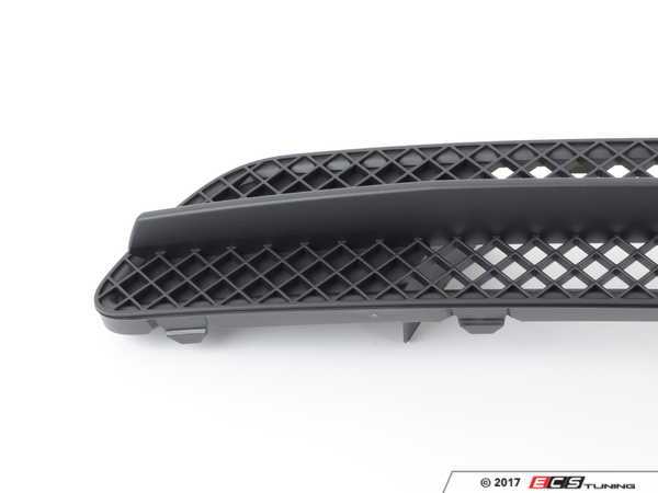 Genuine BMW - 51117263119 - GRID, BUMPER FRONT (51-11-7-263-119)