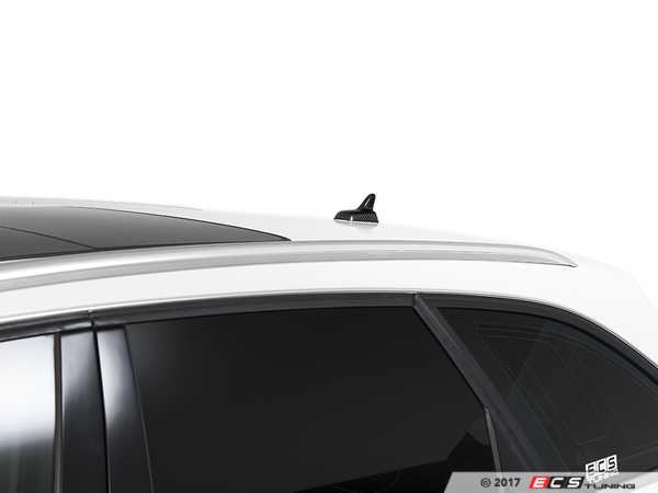 ECS - 022696ECS01 - Carbon Fiber Antenna Cover